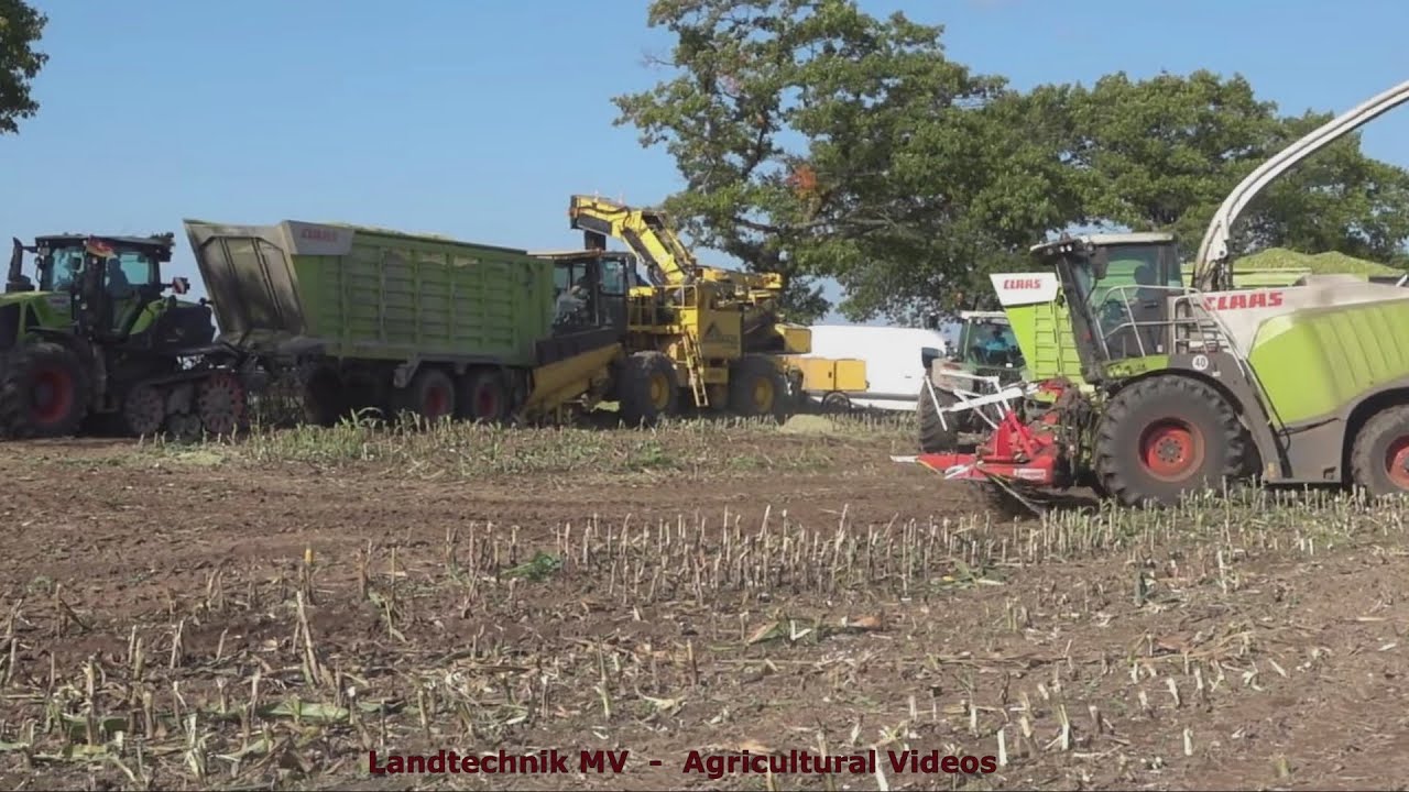Claas - Ropa - Fendt - ++ / Maissilage - Silaging Maize 2022 - YouTube