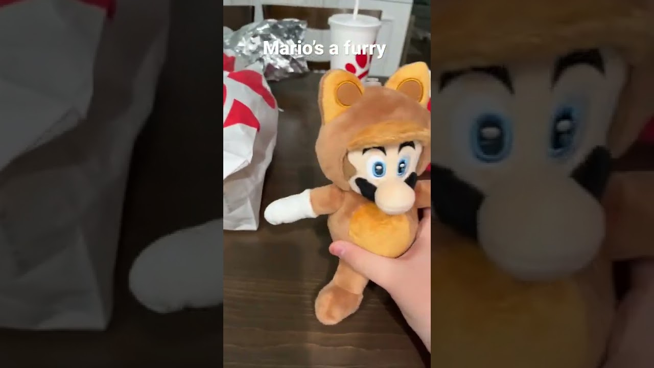 Furry Mario - YouTube