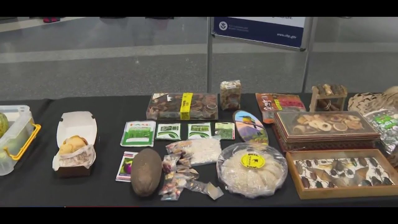 Houston Border officials share travel tips and counterfeit awareness ...