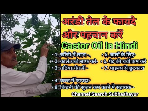 Arandi ki pechan kare castor Oil //arandi ke benefits jane ? - YouTube