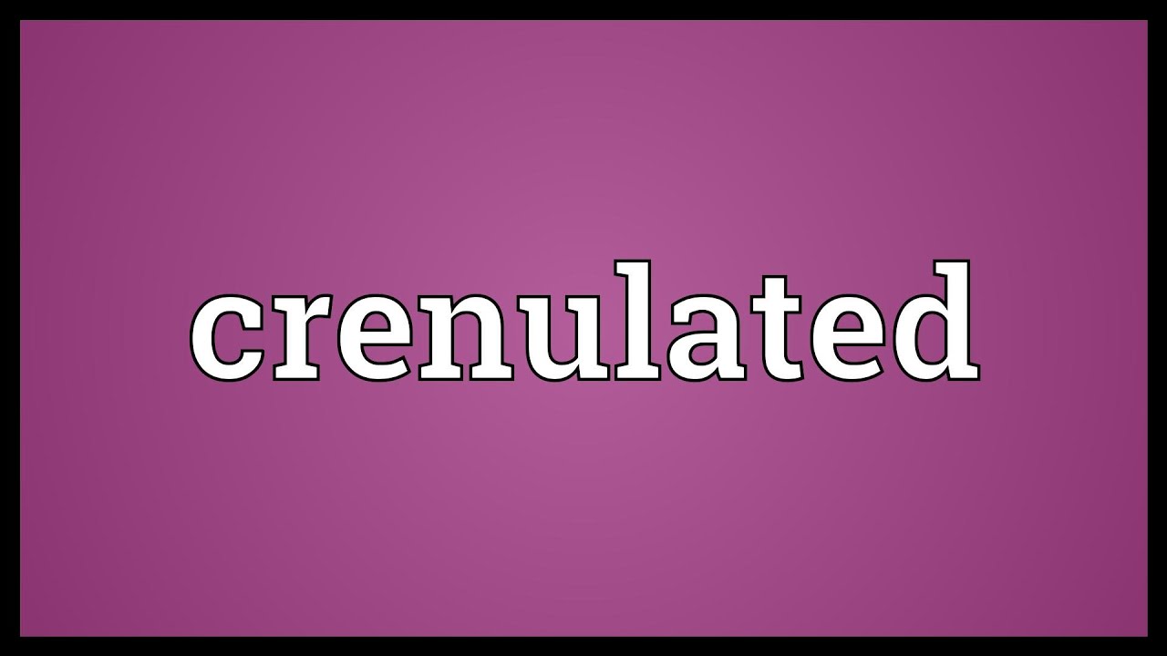 Crenulated Meaning - YouTube