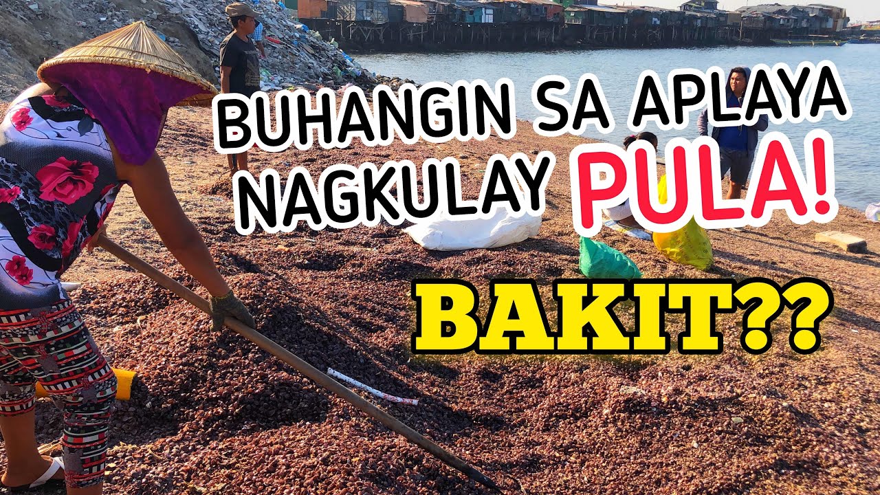 BUHANGIN SA APLAYA BAKIT NAGKULAY PULA?? - YouTube