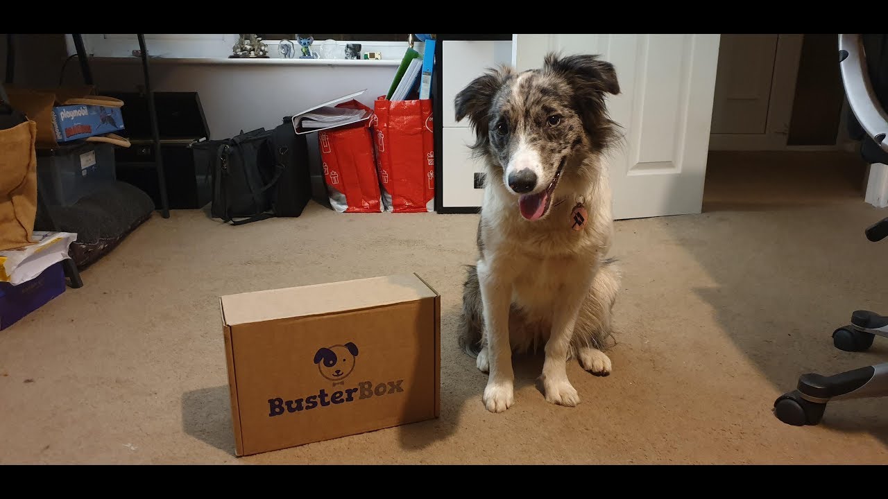 Buster Box Review - March 2019 - YouTube