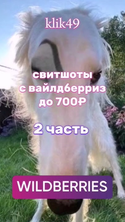 свитшоты с вб до 700₽ 2 часть #вайлдберриз #свитшот #вкусняшки #длявсех ...