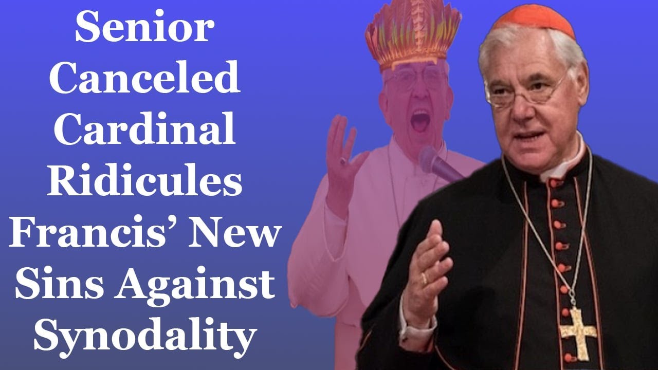 Canceled Cardinal Ridicules Francis' New Sins Against Synodality - YouTube
