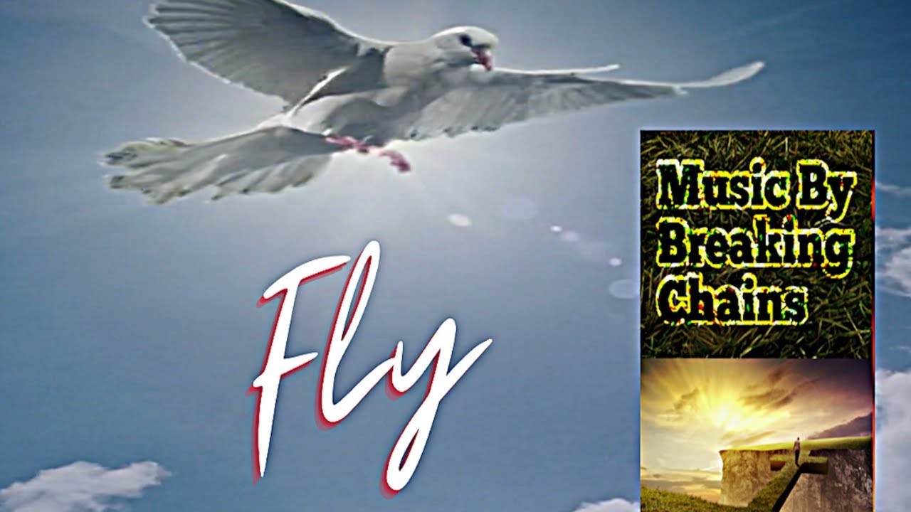 JEB "FLY" BREAKING CHAINS - YouTube