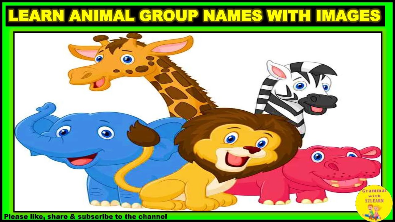 Animal Group Names| Animal Groups| Animal Groups For Kids |S2LEARN ...