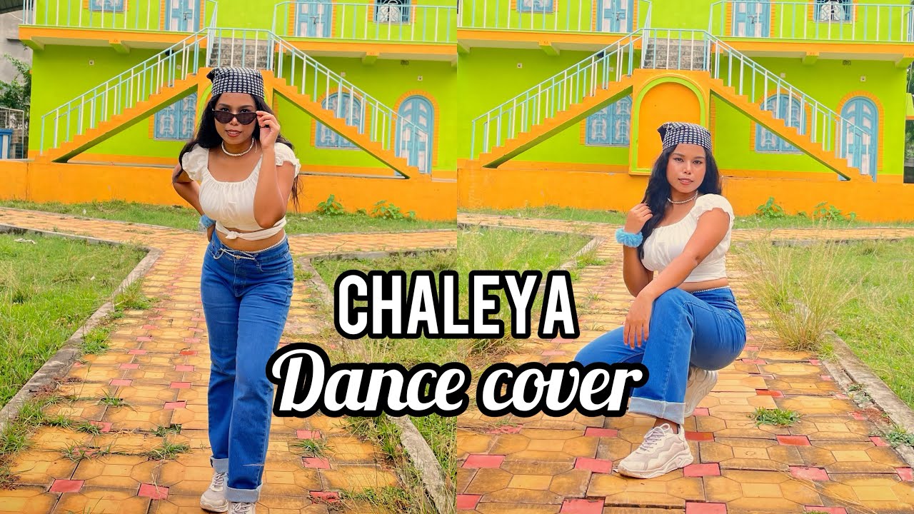 Chaleya Dance Video | Shah Rukh Khan | Jawan |choreography by Pallabi ...