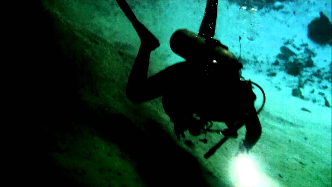 Grande Cenote Underwater Camera Tulum Mexico - YouTube