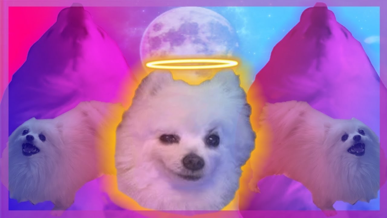 Gabe the dog |DEP| Funny Compilation |(GABE THE DOG FUNNY TRIBUTE ...