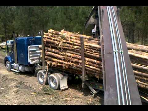 loading pine pulpwood - YouTube