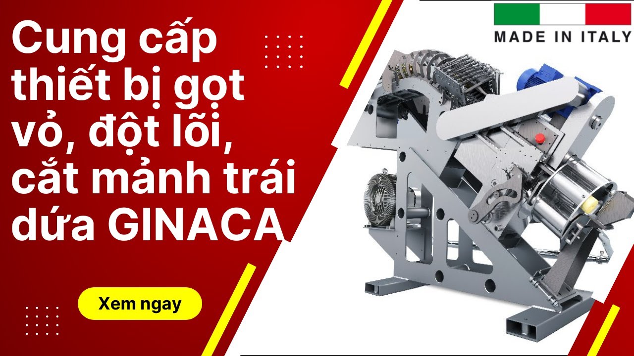 Cung cấp thiết bị gọt vỏ đột lõi trái dứa GINACA - Tropical Food ...