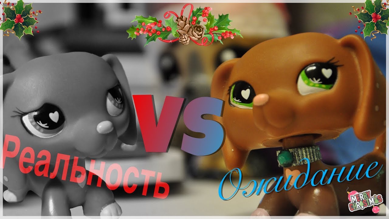 LPS: Ожидание VS Реальность| Новый год - YouTube