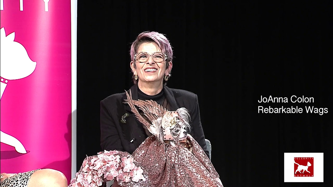 Celebrity Catwalk~Sunday November 17th, 2019 - YouTube