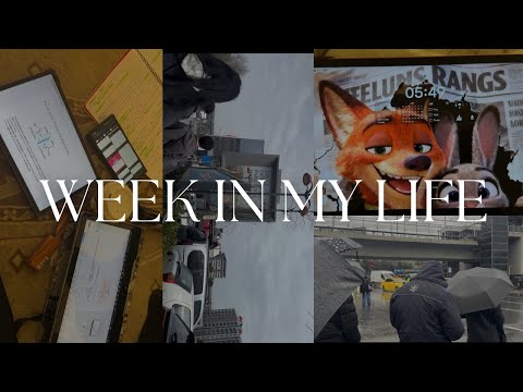 A Week at Uni During Midterms 📚| Study With Me & Realistic Vlog / isbuc imtixanka Jamacada Sido aha 