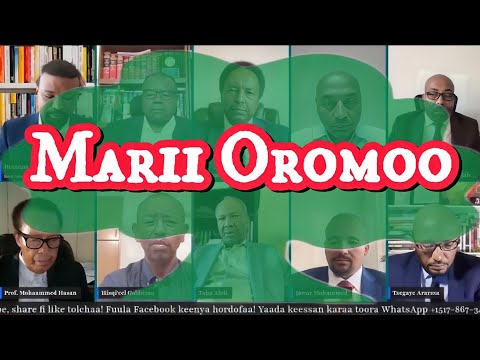 Kufaatii PP Abiyyiin Booda: Waltajjii Marii Hayyootaafi Bakka Bu'oota Jaarmiyaalee Siyaasaa Oromoo