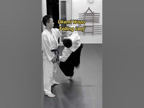 Ukemi Waza #2 - Falling Leaf - YouTube