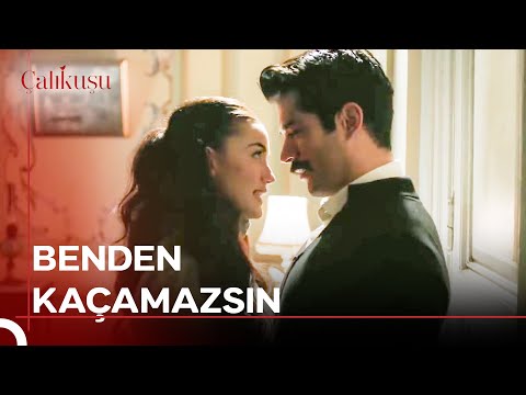 Gözlerimi Senden Alamıyorum | Çalıkuşu
