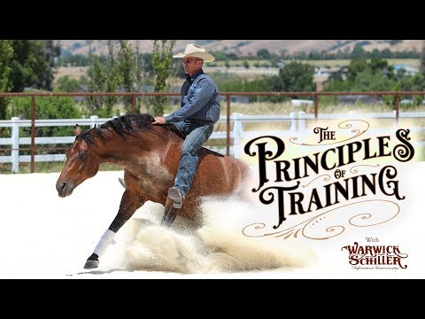 The Principles of Training Season 1 Episode 1: \