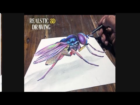 Drawing a realistic 3D fly | how to draw a fly easy - YouTube