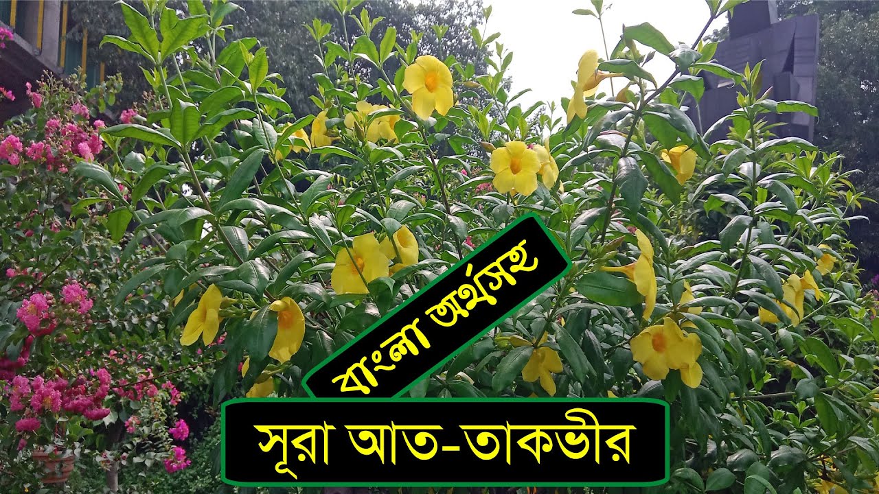 Surah At Takveer - YouTube