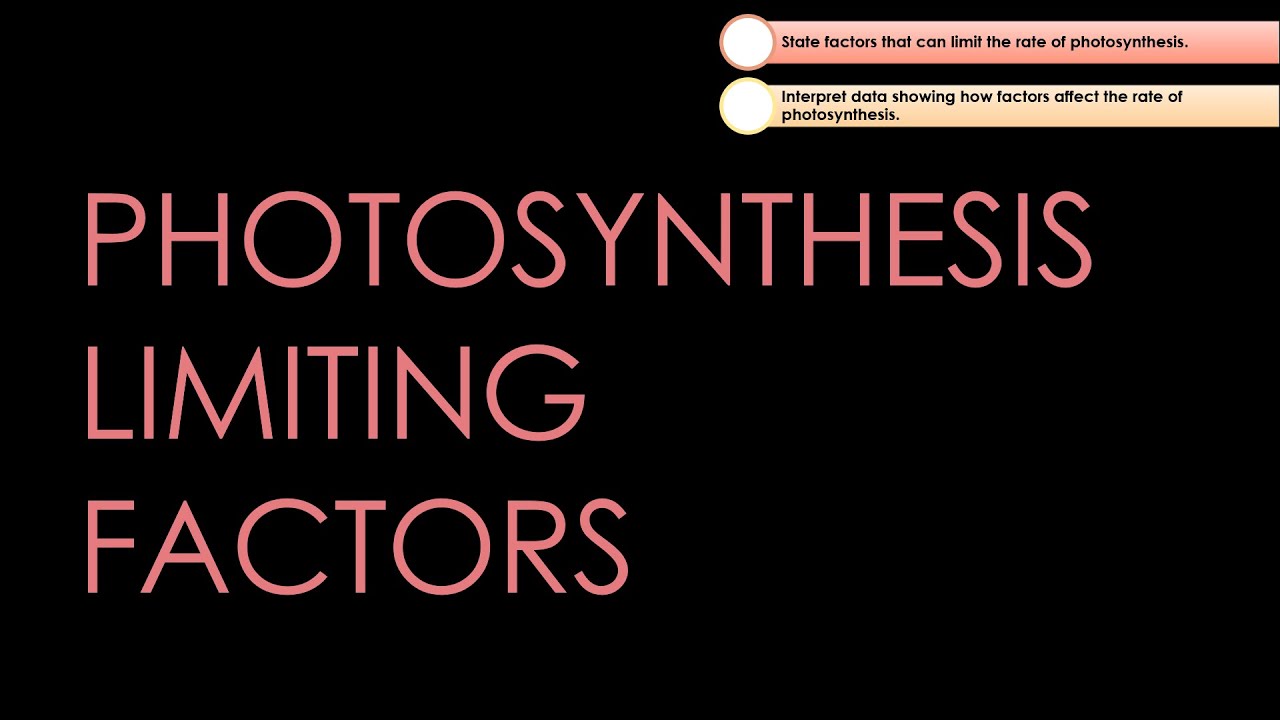 Photosynthesis Limiting Factors - GCSE Biology - YouTube