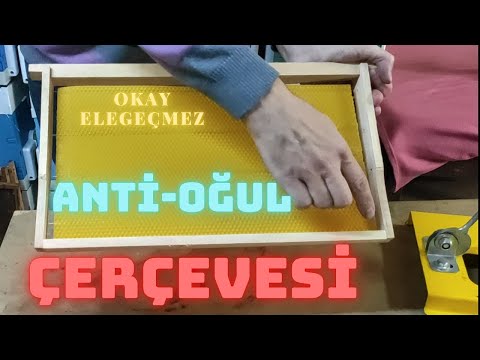 Arıcılıkta Anti-Oğul Çerçevesi
