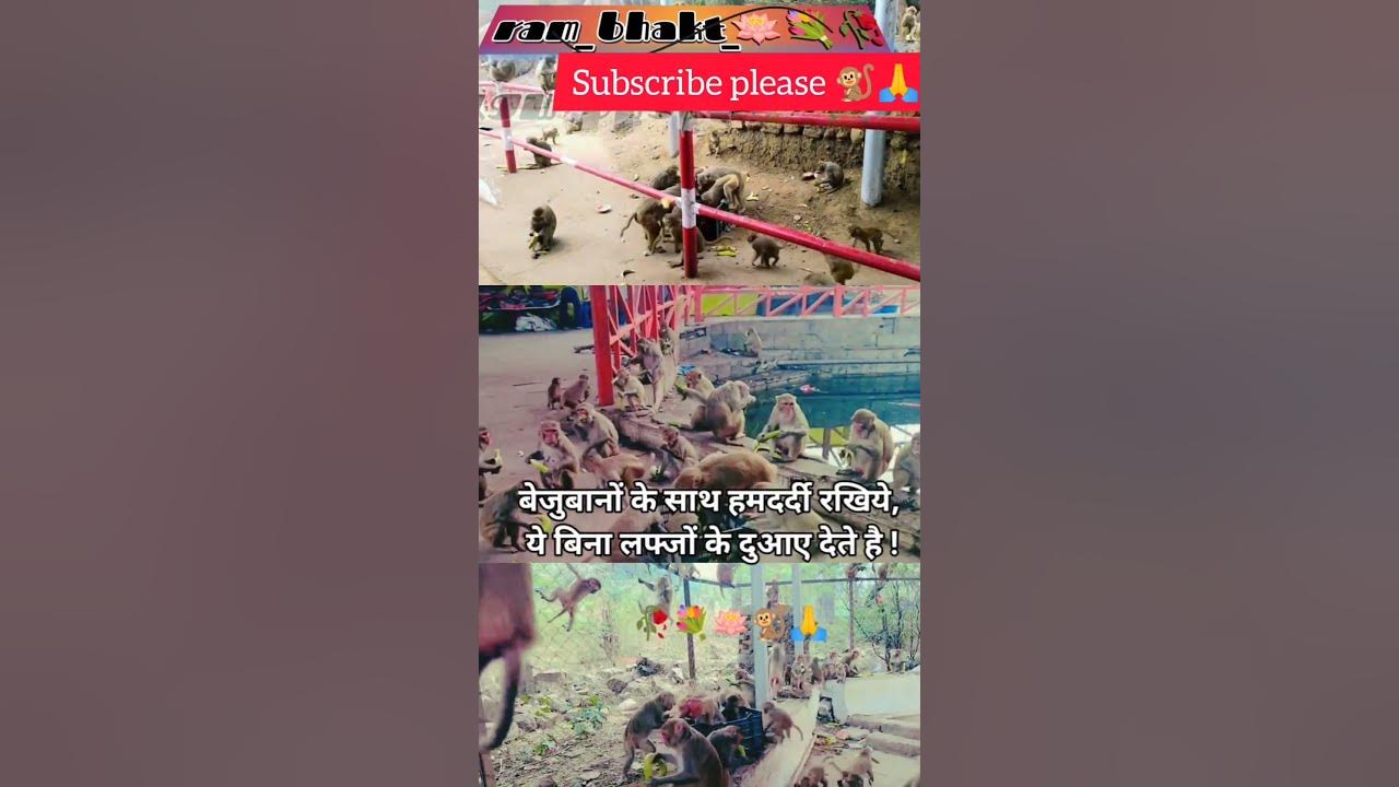 Tu dur na hona sambhu mai kisi aur ka hona paunga 🥀💐🪷🐒🙏 - YouTube