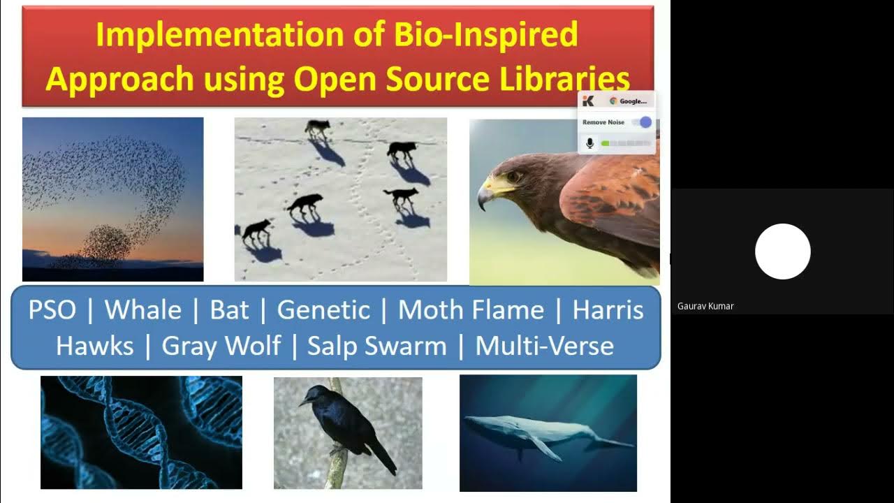 Session 4 Fdp Bio Inspired Algorithms And Optimization Techniques For Emerging Research Areas