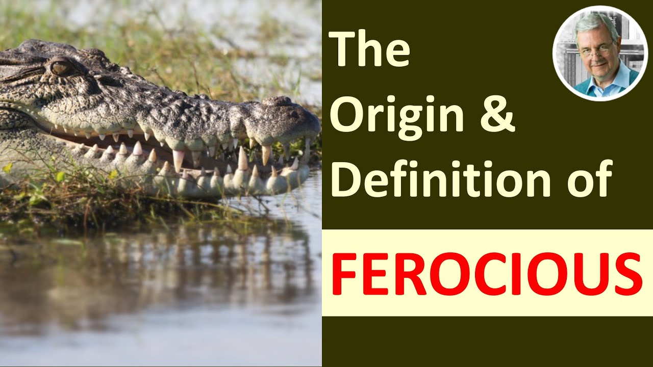 The Origin and Definition of FEROCIOUS? (3 Illustrated Examples) - YouTube