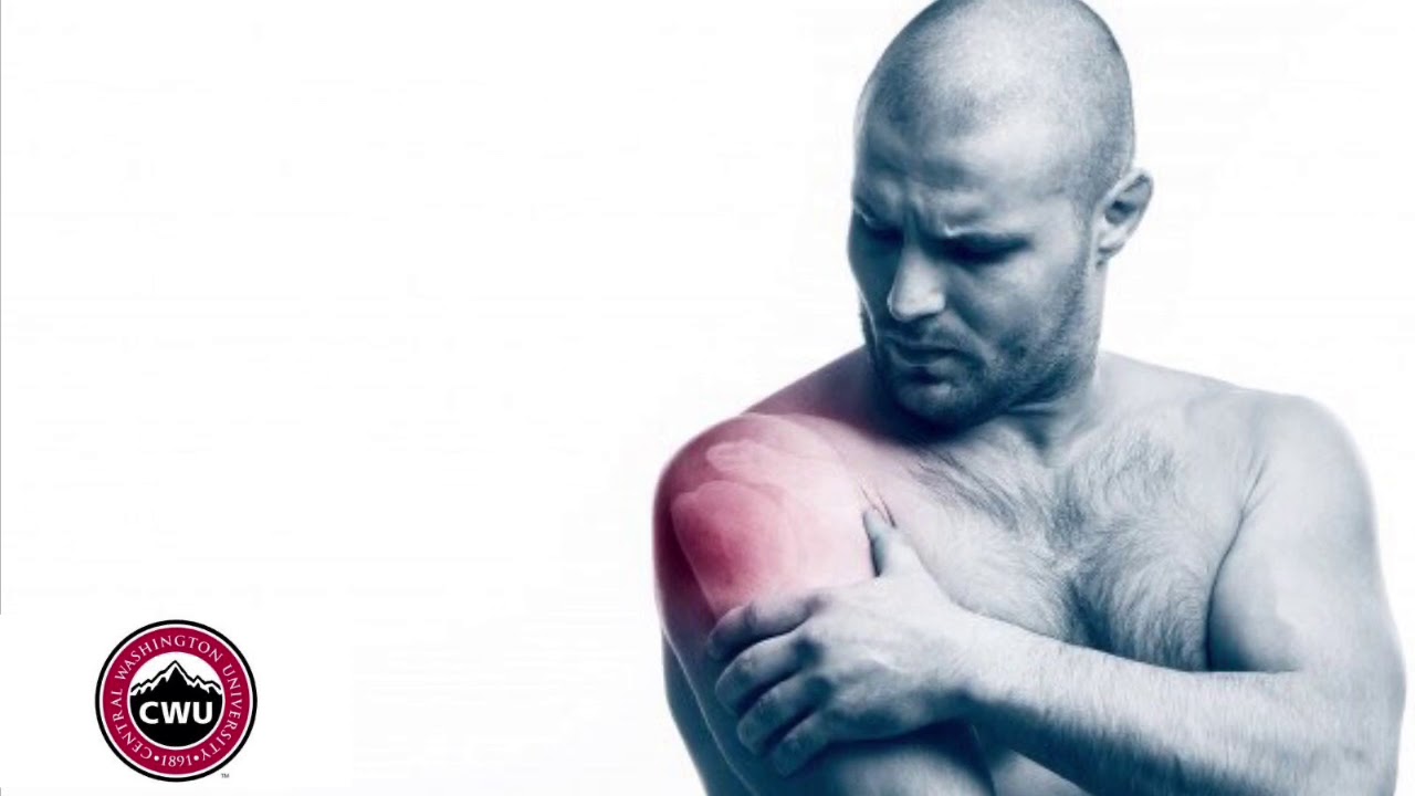 Paleo Diet Explained - YouTube