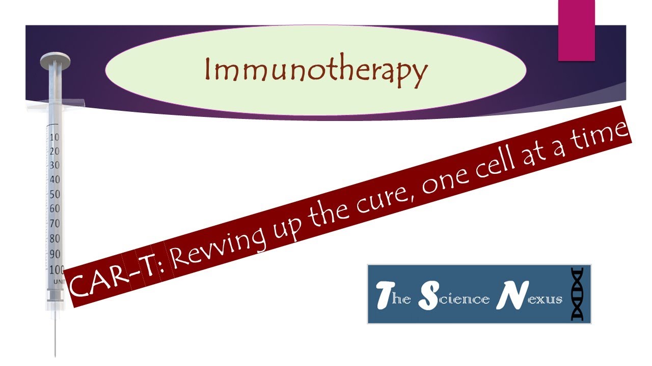 CAR-T Revolution: Unleashing the Immune Power Against Cancer - YouTube