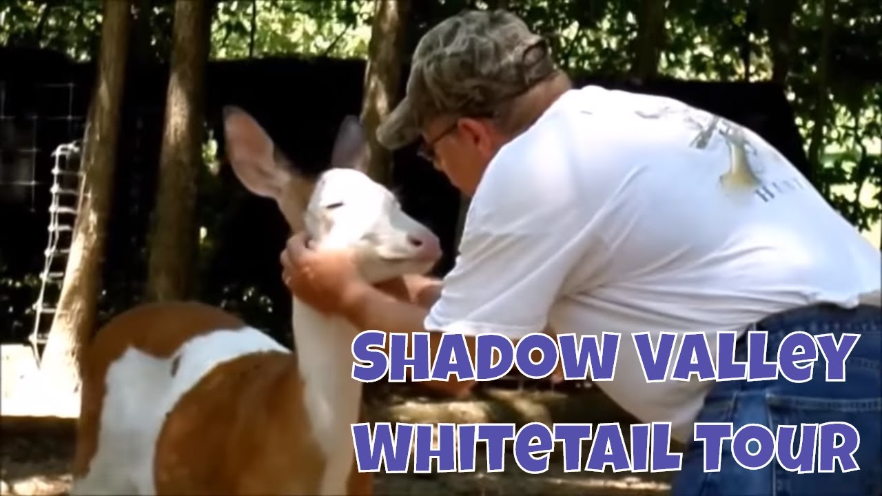 Bonus Video !! Shadow Valley Farm Tour 2017 | Trish Oliver ...