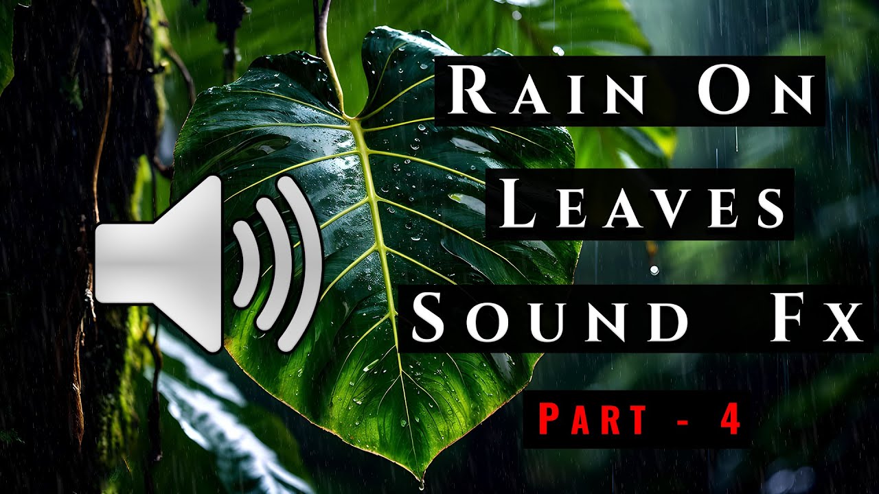 Rain On Leaves Sound Effect Part 4 - YouTube