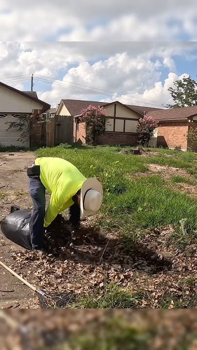 Satisfying yard makeover - YouTube