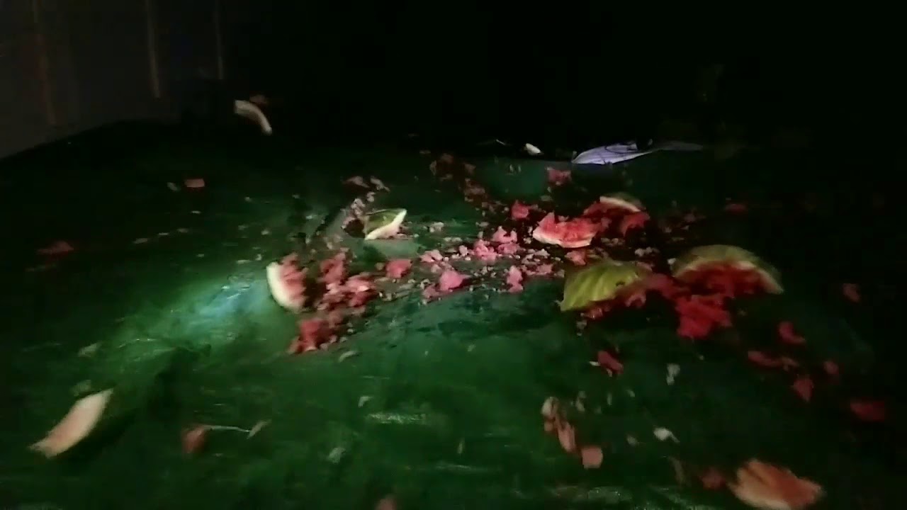 Watermelon hitting ground in slow-mo - YouTube