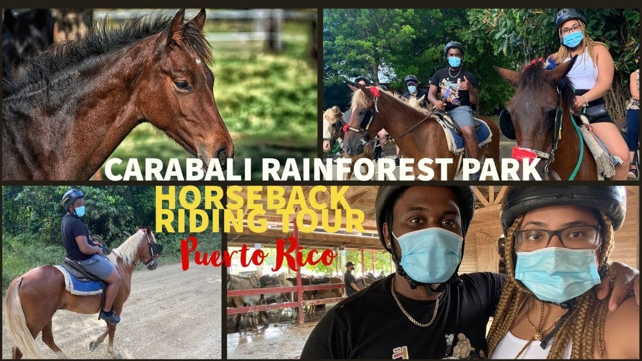 Carabali Rainforest Park Horseback Riding Tour - YouTube