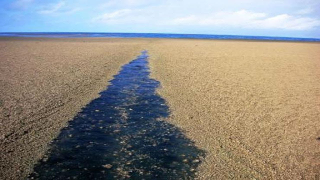 This Crew Saw Something Strange Floating In The Ocean – And Then They ...