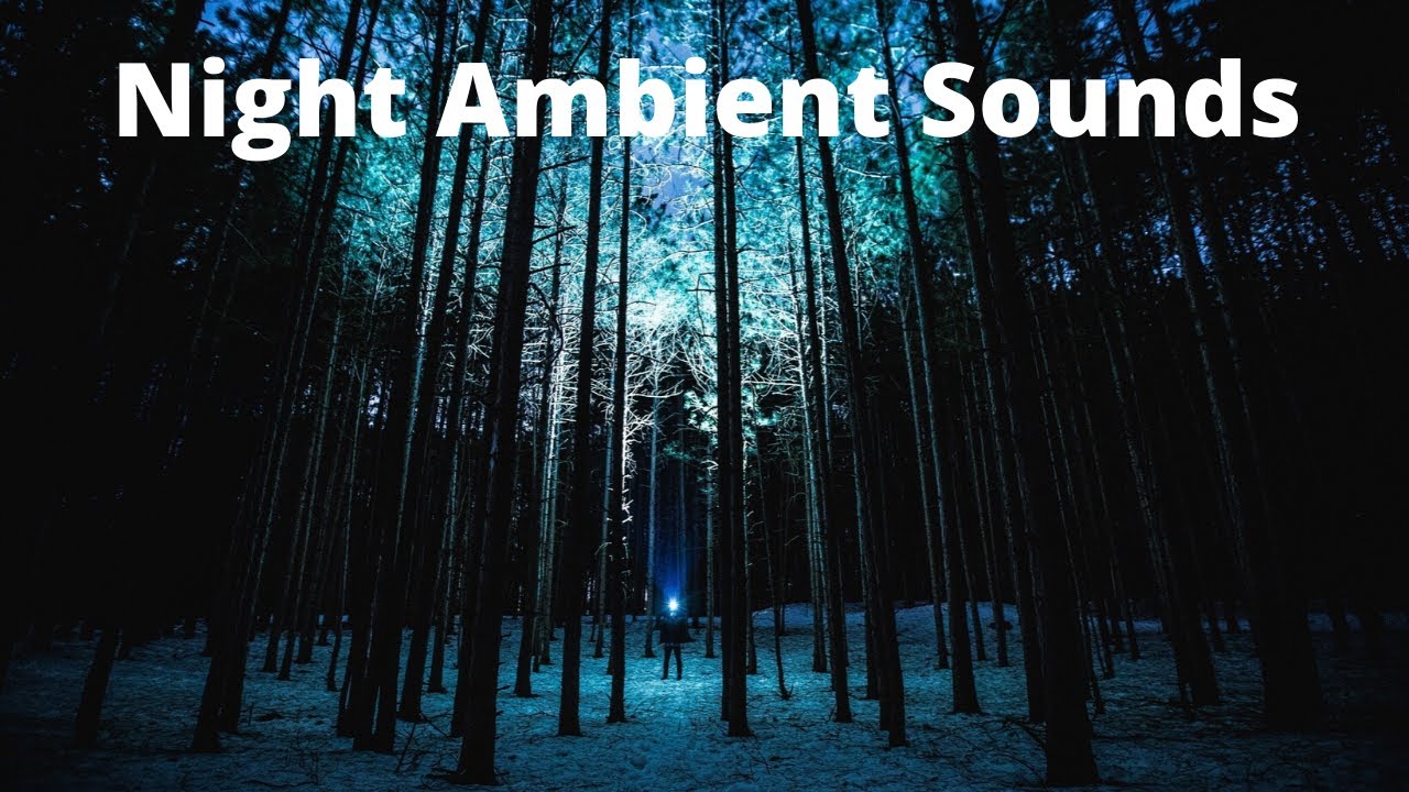 Night Ambient Sounds, Cricket, Swamp Sounds at Night, Sleep and ...