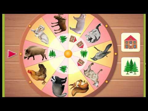 Игра для детей "Дикие и домашние животные"/Ознакомление с окружающим ...