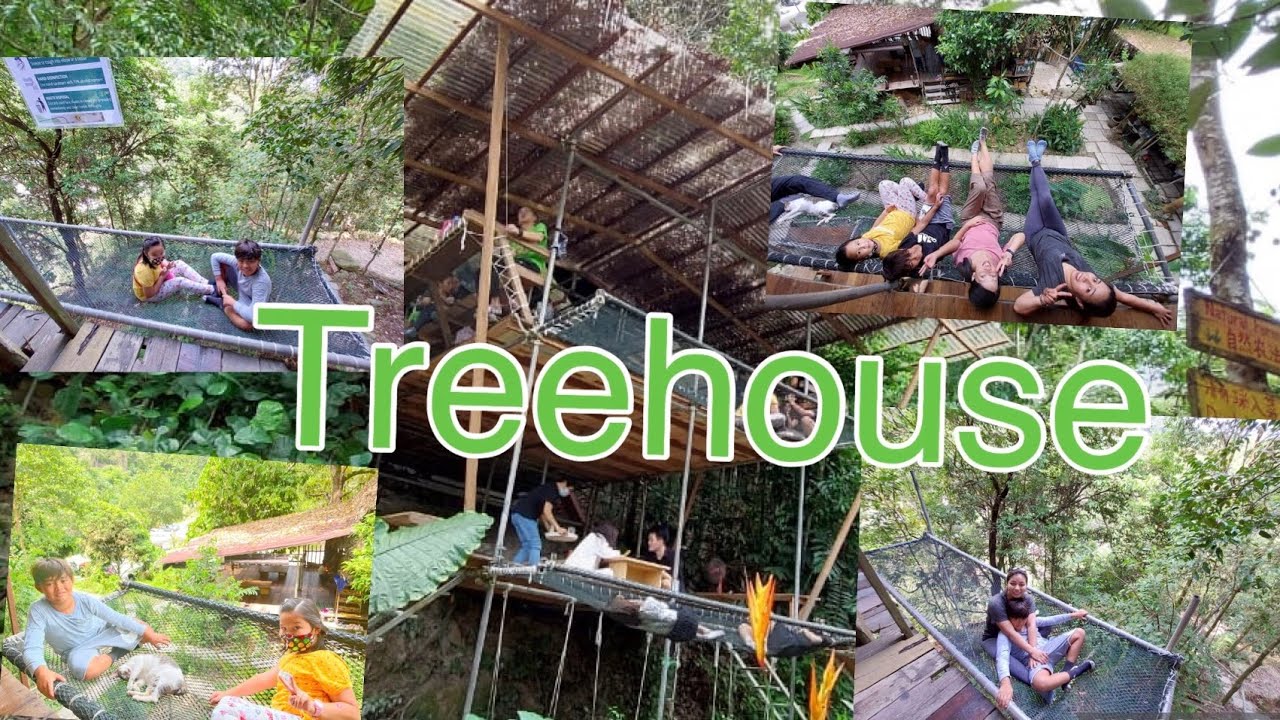 Tree House at Gunung Pulai.. - YouTube