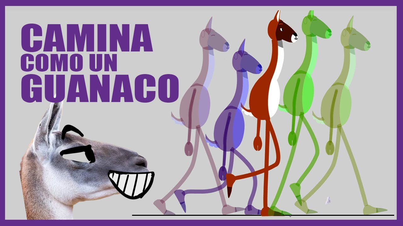 Como Hacer Caminar A Tu Personaje El Walking Cycle O Ciclo De