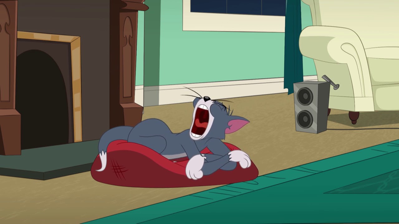 Tom and Jerry Cartoon |Jerry's party #tomandjerry #cartoon - YouTube