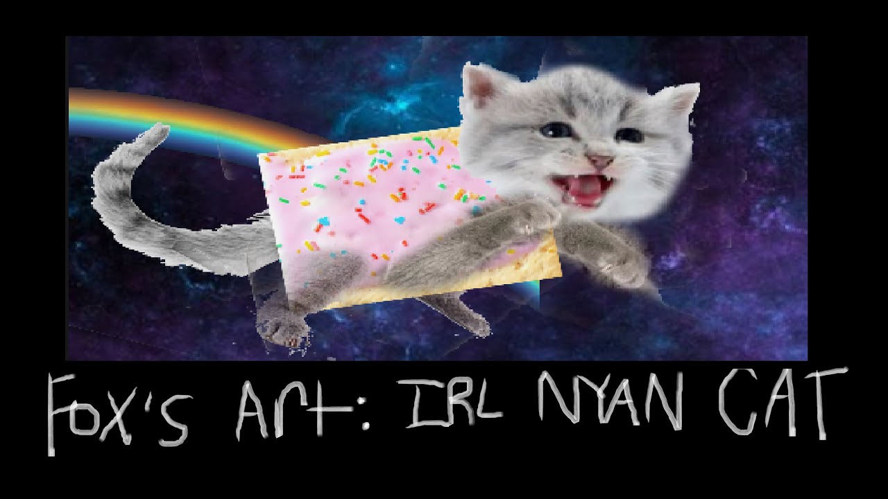 Fox’s Art: IRL NYAN CAT!!! (*EDIT*) - YouTube