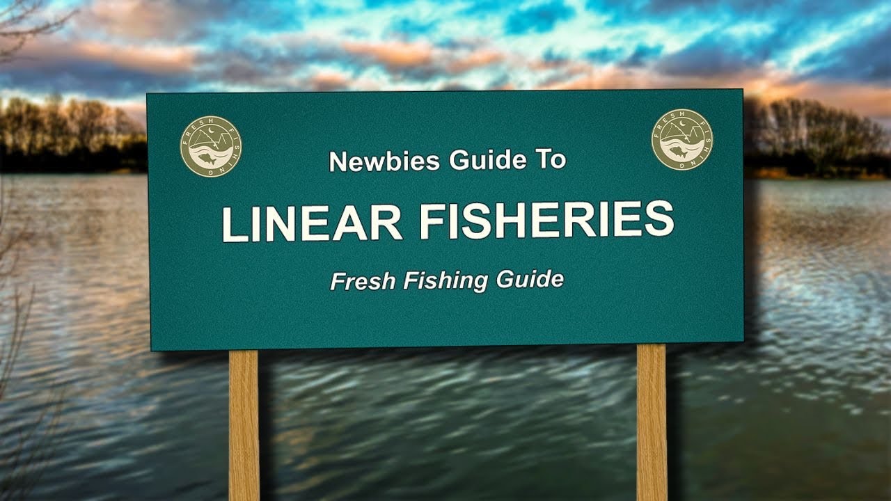 Visiting Linear Fisheries? What to expect for newbies! - YouTube