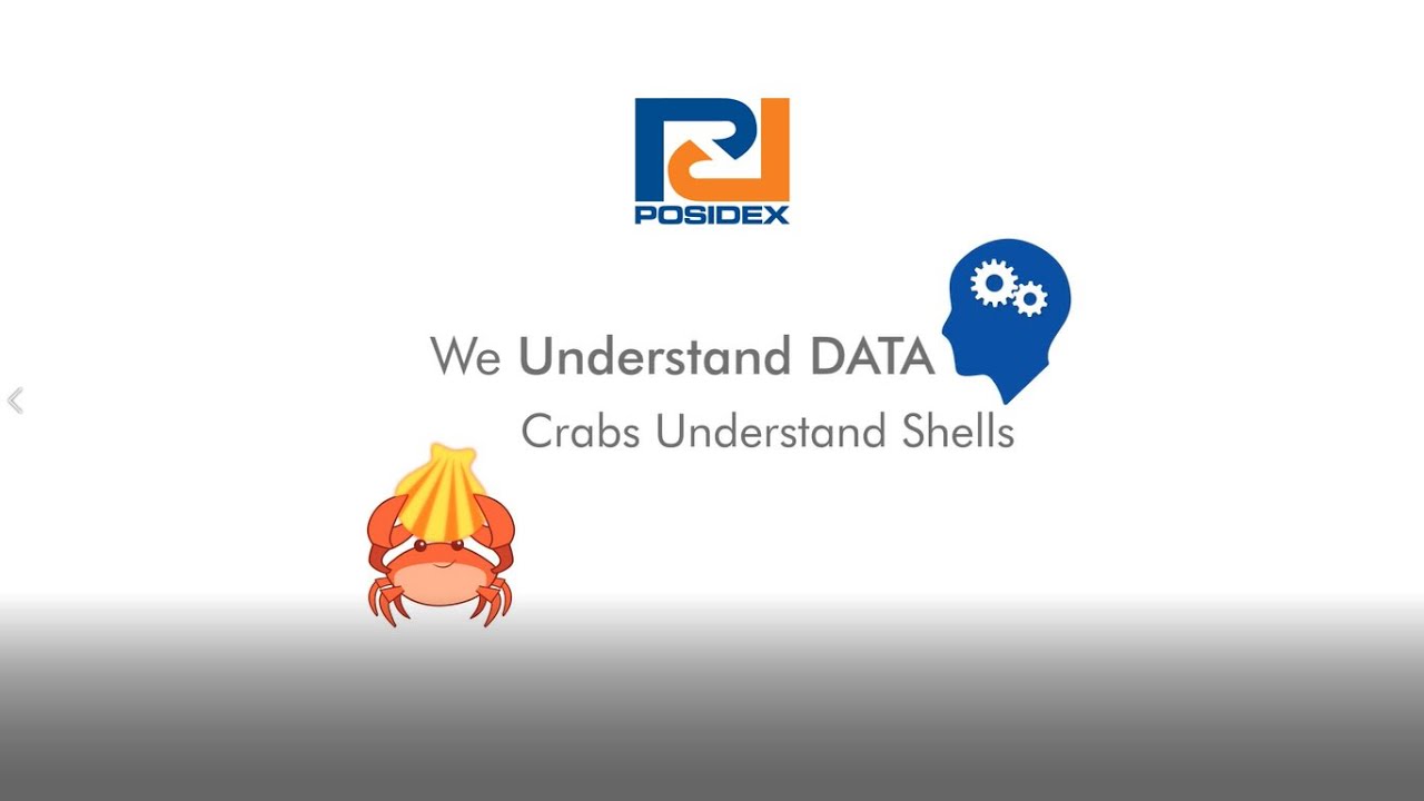 Posidex Digital Journey - YouTube