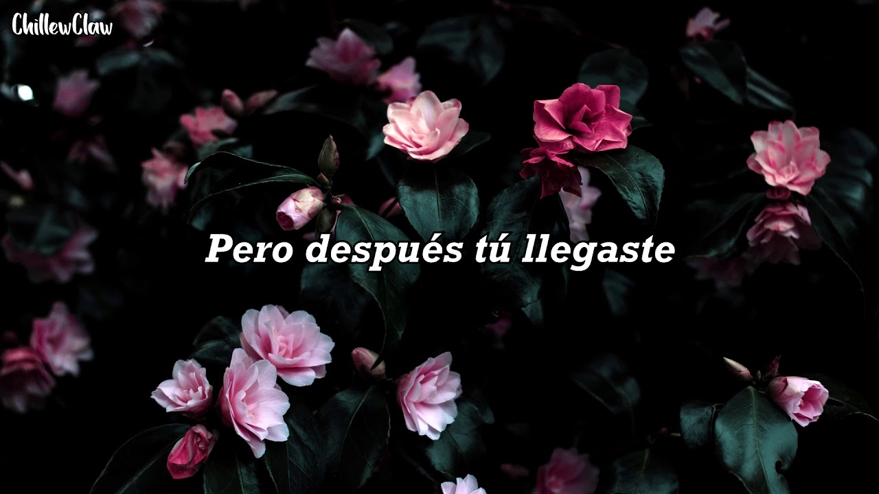 awfultune - Lvr Boy (Sub. Español) - YouTube