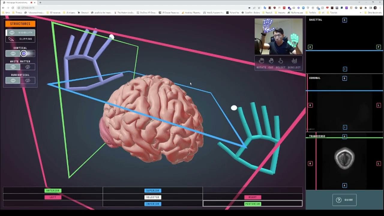 Mediapipe-Tensorflow Brain Viewer - YouTube