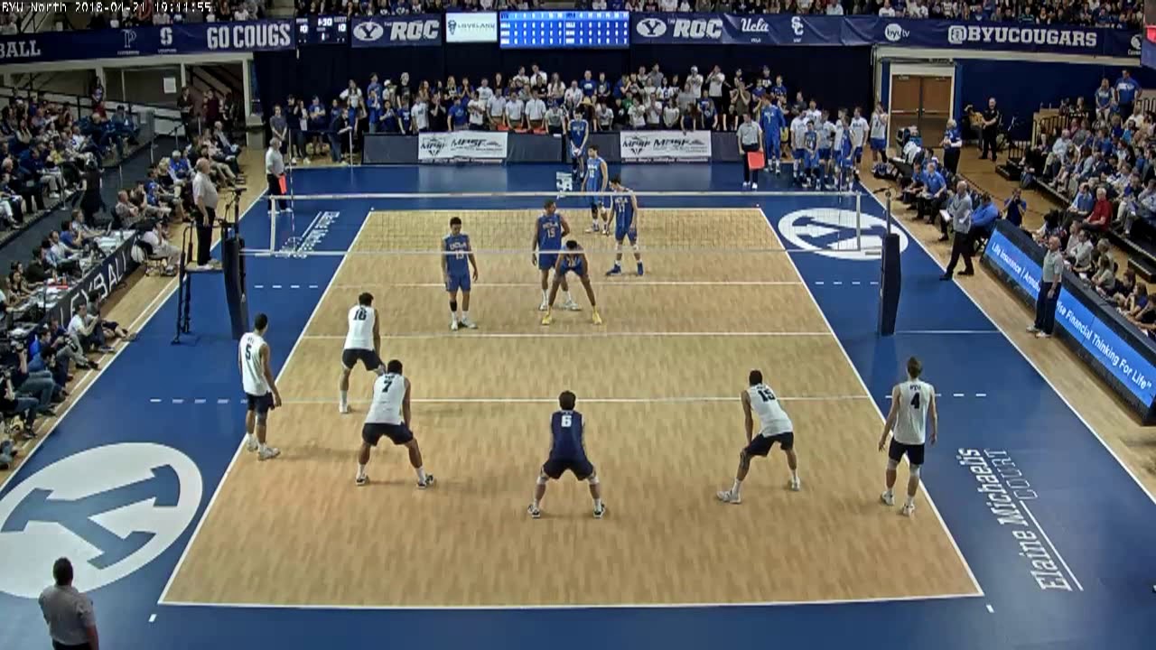 Leo Durkin USA Setter Film - YouTube