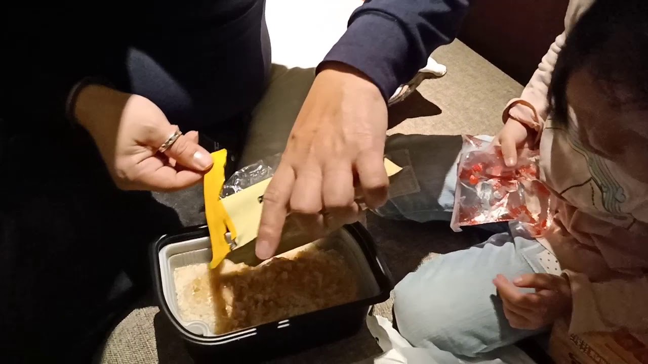 Civilian MRE - Mealtime: Fried Rice - YouTube